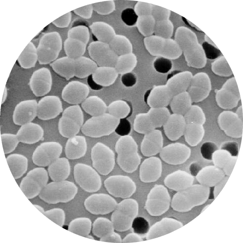 Airborne transmission – ATA Medical