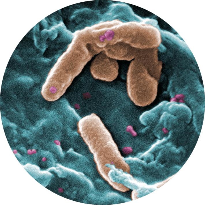 Airborne transmission – ATA Medical